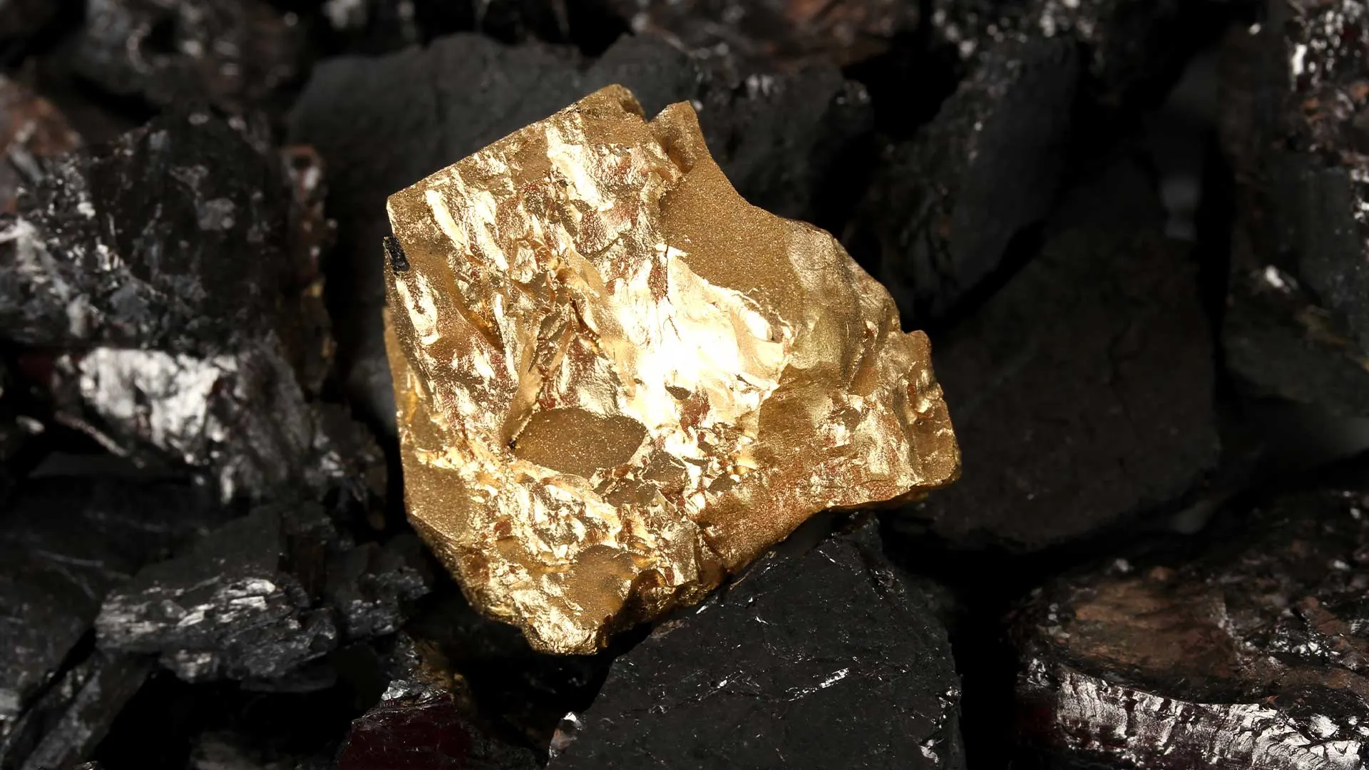 The Mysterious Black Gold - Al Romaizan